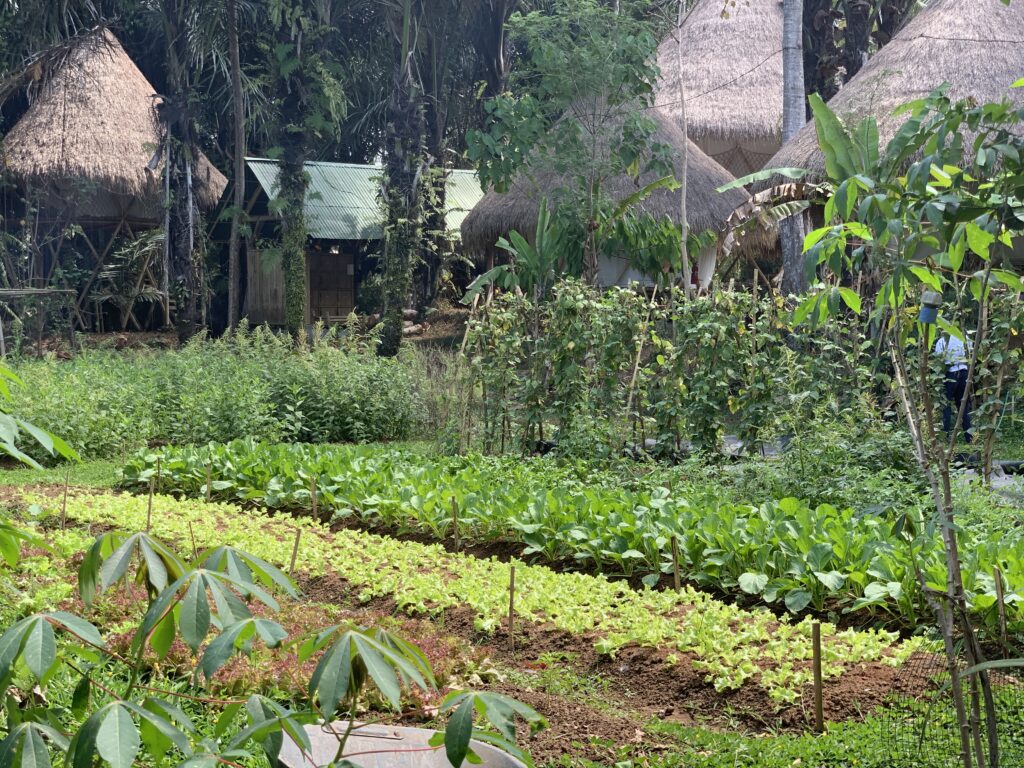 My Bali Permaculture Course - orgayana